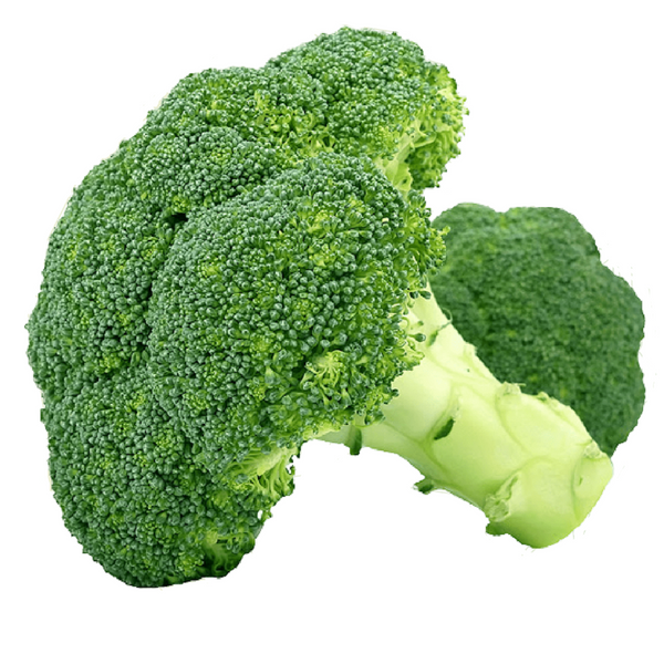 Broccoli Iran 400g | GETIT.QA