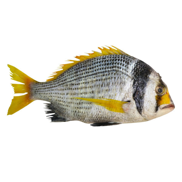 GETIT.QA | FASKER FISH MEDIUM 1 KG | COD available