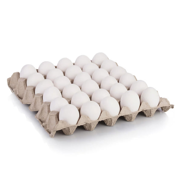 GETIT.QA | KOKO WHITE EGG-- MEDIUM-- INDIA-- 30 PCS | COD available