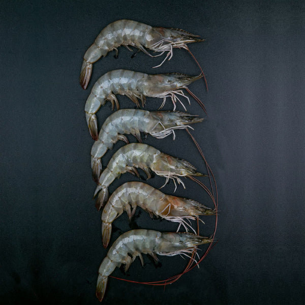 Farmed Prawns 40/50 Oman 500 g | GETIT.QA