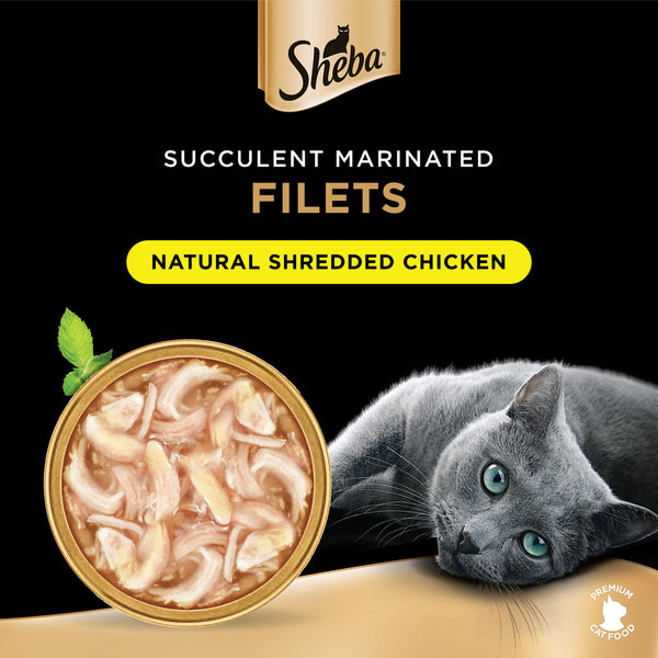 Sheba Fillets Shredded Chicken Cat Food 60 g | GETIT.QA